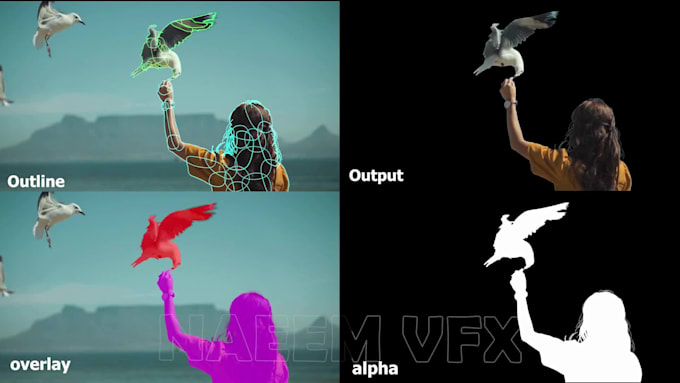 Do professional vfx, roto, rotoscoping, green screen remove and chroma ...