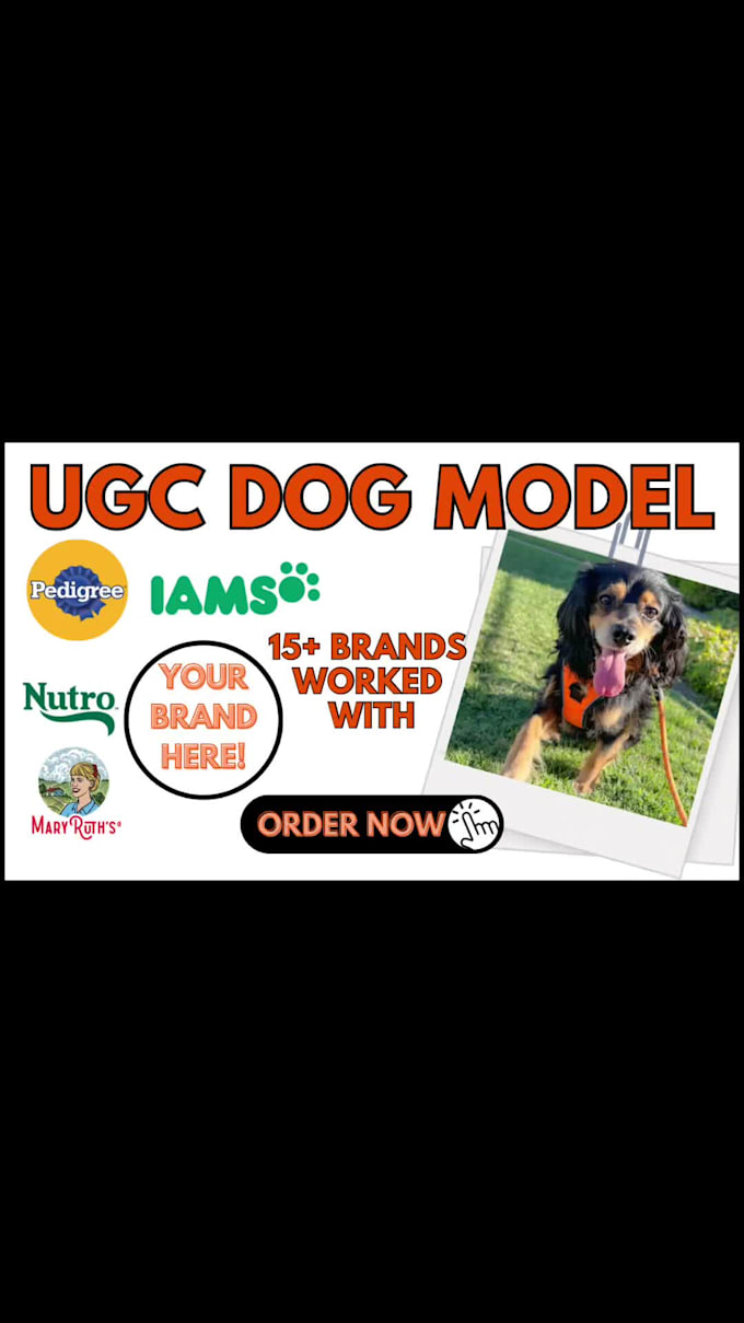 Create dog ugc for your pet product by Ugcprincesss | Fiverr