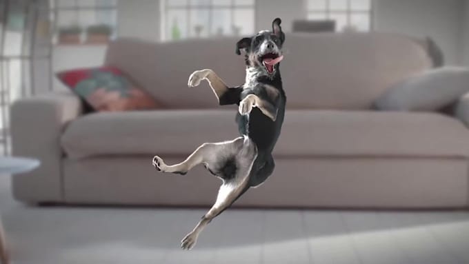 Do cgi animal animation 3d animal model vfx animation animal model for ...