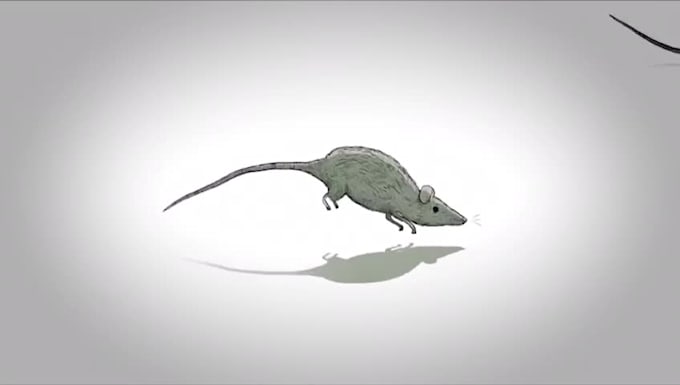 Create advance faceless youtube videos to boost your channel by Soul ...