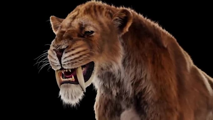 Create realistic 3d animal animation, 3d animal model, 3d animal ...