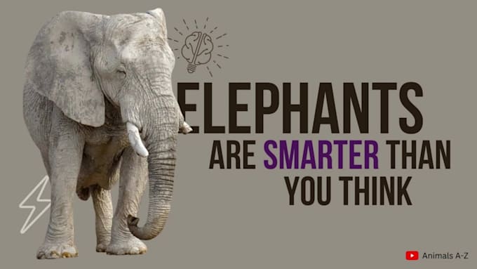 Design clean youtube thumbnails within few hours by Ac_chathura | Fiverr