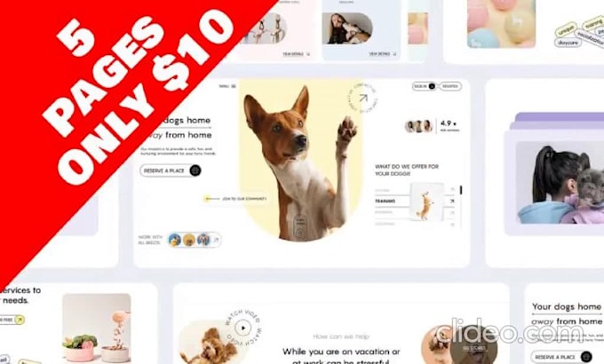 Convert adobe illustrator to tailwind css by Azhar0315 | Fiverr