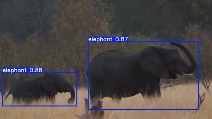 Do yolo, object detection, computer vision, machine learning by Bushiiiiii | Fiverr