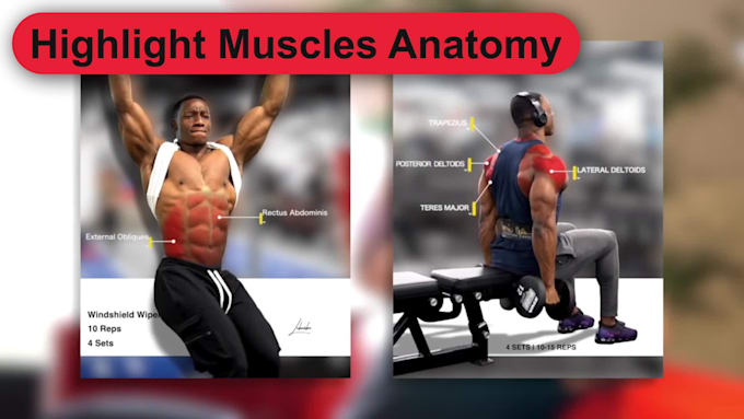 Highlight your anatomy for reels by Astonanimation | Fiverr