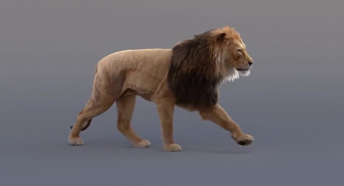 3d animal model, realistic fur, xgen hair with rig and animation stl ...