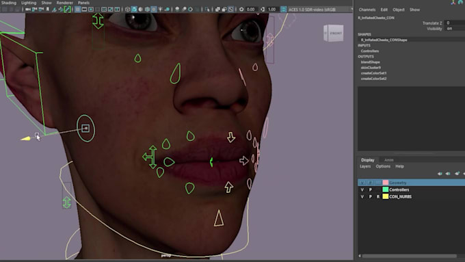 Rig 3d character animals creatures in maya blender for 3d animation and ...