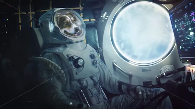 Make this funny space launch video commercial by Pickera | Fiverr