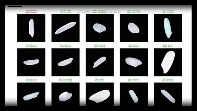 Do Image Segmentation And Object Detection Using Deep Learning By