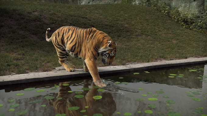 Do a realistic 3d animal animation, 3d cgi animal rigging, cgi animal ...