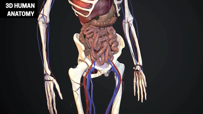 Create 3d medical video human anatomy 3d biotech pharma explainer moa ...