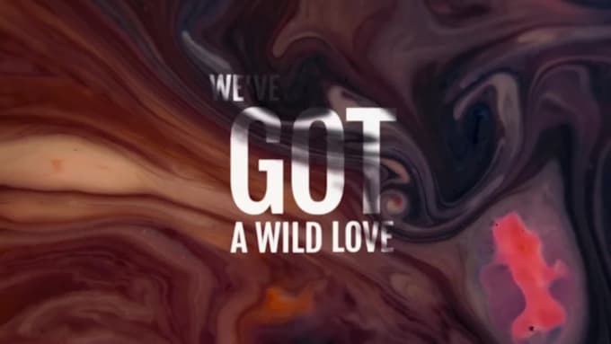 Make professional animated lyric and music video for your song by ...