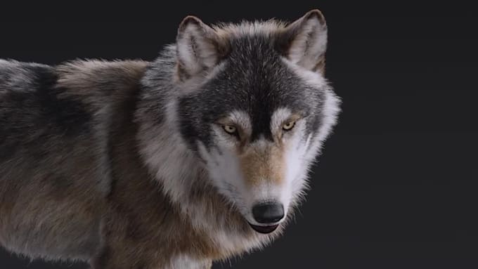 Realistic 3d animal model, xgen grooming hair or fur of insect and ...