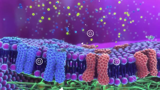 Create a realistic 3d dental animation, 3d medical animation, 3d ...