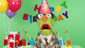 Have harold the puppet make a custom birthday video by Puppetgrams | Fiverr