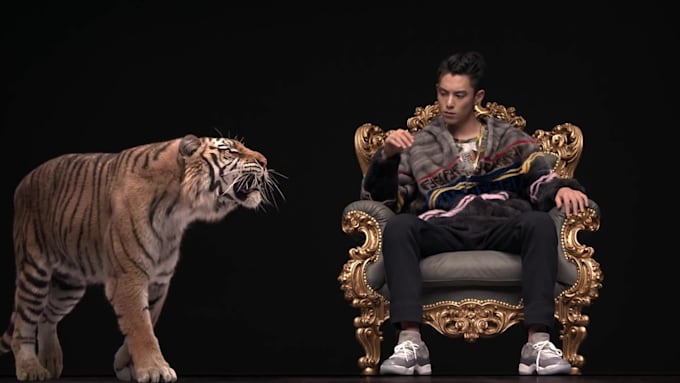 Do realistic 3d cgi animal animation, cgi animal model, 3d animal ...