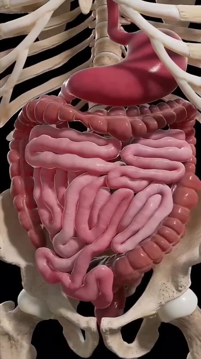 3d medical and industrial product animation,3d medical video, health ...