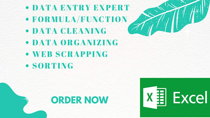 Do spreadsheet data entry, cleaning, organizing, design, analysis in excel by Numan_va | Fiverr