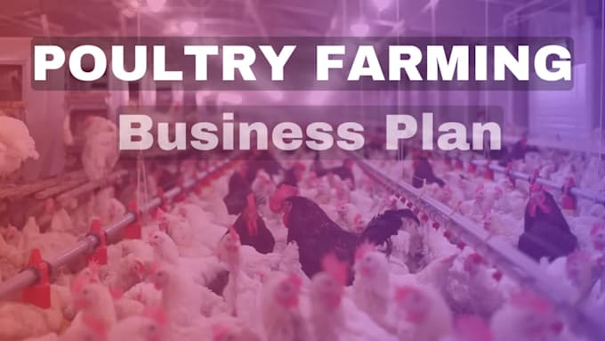 Chicken Farming Business Plan Effective Poultry Farming Business Plan