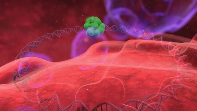 Do cad 3d medical animation mechanism of action biotechnology ...