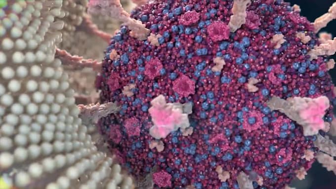 Create 3d medical moa animation cell therapy, biotech scientific ...