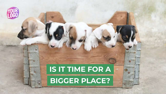 Make a funny dog video for a real estate agent by Sophia174 | Fiverr