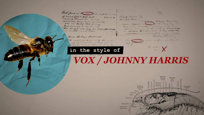 Animate your video in the style of vox or johnny harris by Sandypaton ...