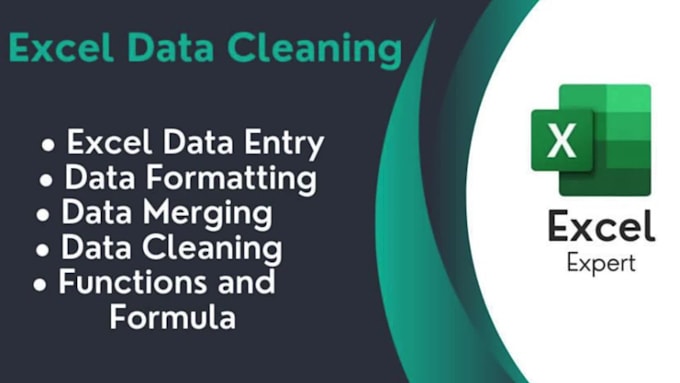 Clean fix and organize messy excel data accurately by Aniket_727 | Fiverr