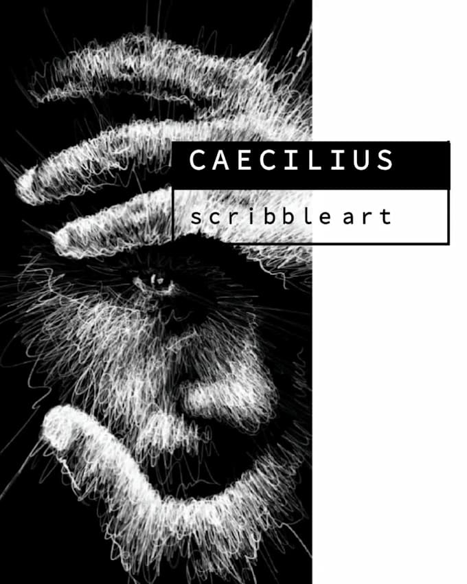 Draw black scribble portrait by Caecilius_art | Fiverr
