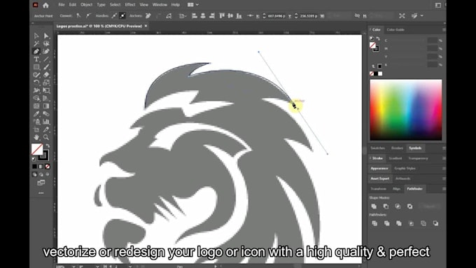 Do manually vector tracing, redraw or recreate logo by Aruarkd | Fiverr