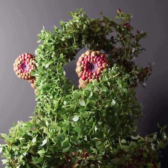 Render realistic cgi plant animation, 3d flower model, cgi flowers, vfx ...