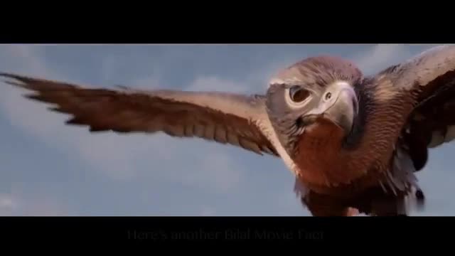 Cgi animal animation, 3d bird fully rigged animal character for film ...