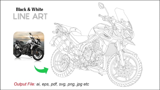 Create vector art line drawing or black and white quickly by Pdesignjh ...