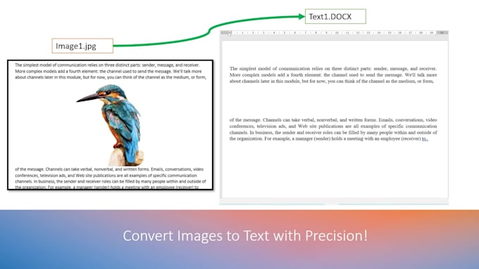 Extract text from images and pdfs by Neopyt | Fiverr