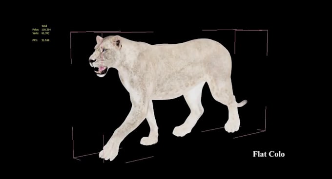 Realistic cgi animal model, 3d animal animation and composite with xgen ...