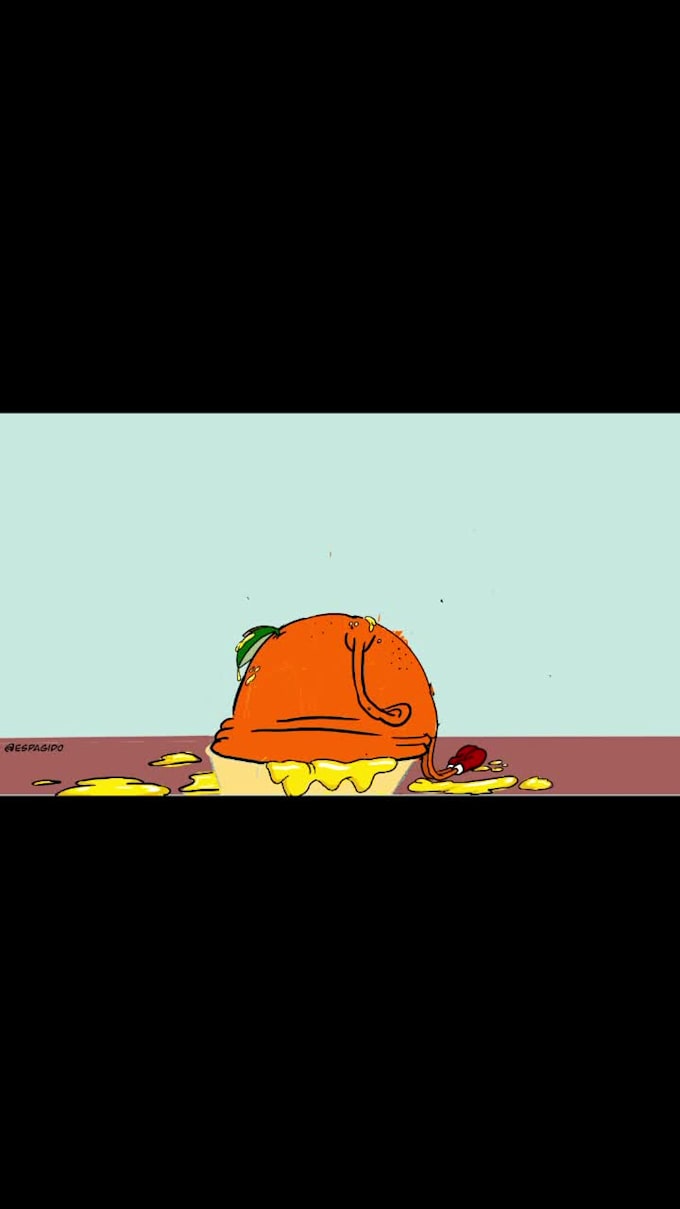 Create a unique animated gif by Espagido | Fiverr