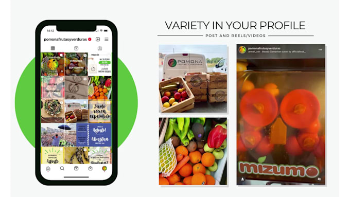 Create unique content and designs for your brand or project by Jsib ...