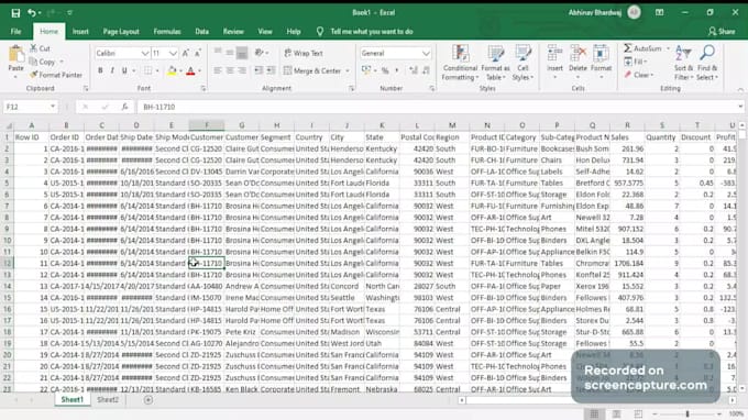 Clean your excel sheets, make pivot tables, put formulas, data entries by Abhinav_30 | Fiverr