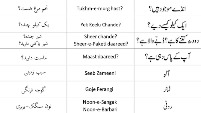 Teach you basic persian language in just 40min by Hanistudent | Fiverr