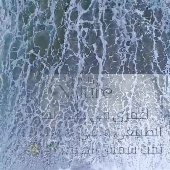 Create eye catching social media posts with animated and static designs by Mamost | Fiverr