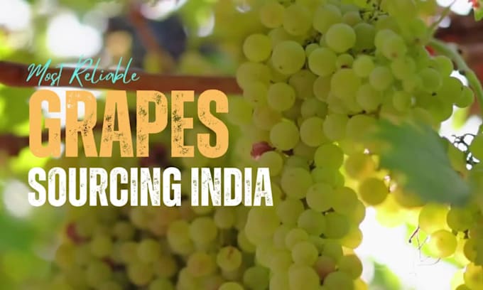 Export sourcing of grapes from india to europe by Swapnilturankar | Fiverr