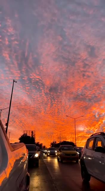 Create a professional animated explainer video by Noumanrai | Fiverr