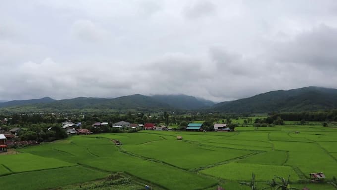 Make merit at thailand temple for you by Paepanopth | Fiverr
