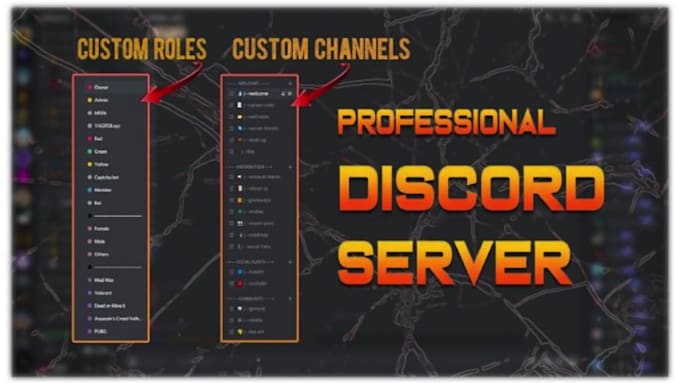 Build a professional custom discord server by Johnbellamy23 | Fiverr