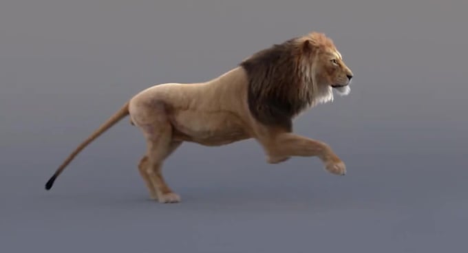 Do realistic 3d animal animation, 3d animal model, 3d animal animation ...