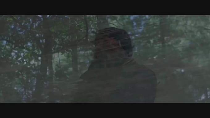 Do forest visual effects,short film vfx, halloween animation,edit ...