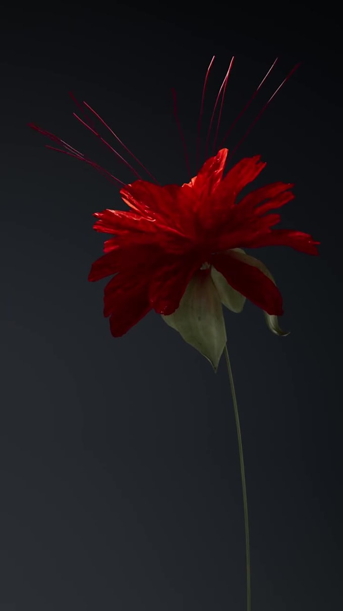 Render realistic 3d flower model, 3d plant animation, vfx plant design ...