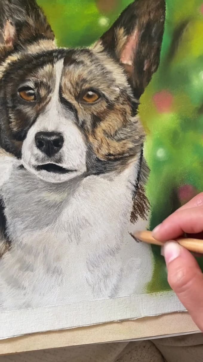 Draw a custom pet portrait by Taylor_rendall | Fiverr