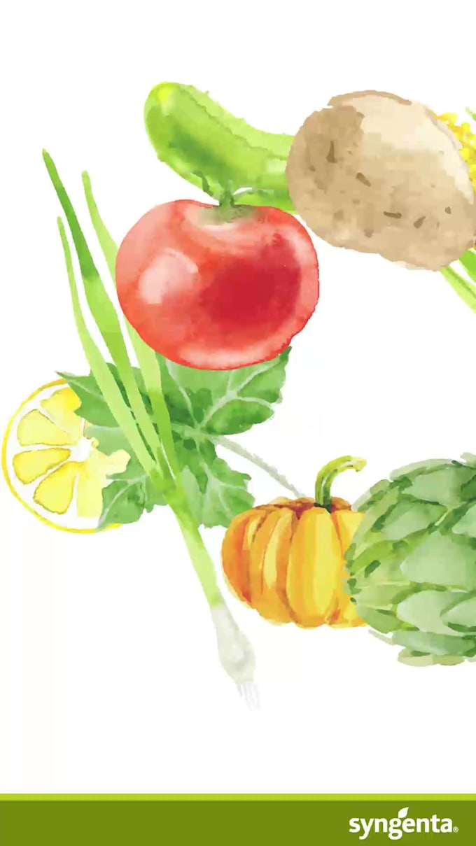 Design a remarkable banner for your business by Yenssen | Fiverr