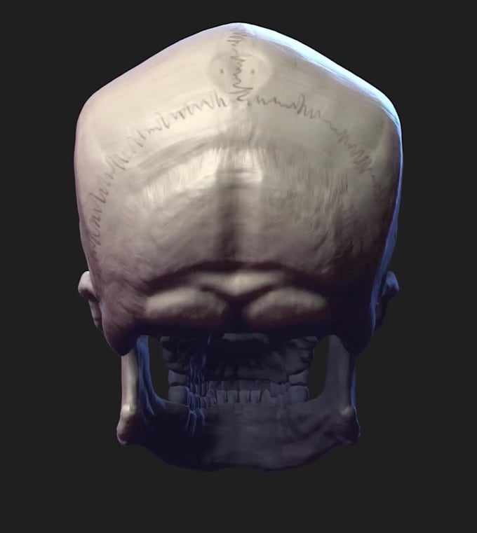 Draw human anatomy, medical diagrams and illustrations biology body art ...